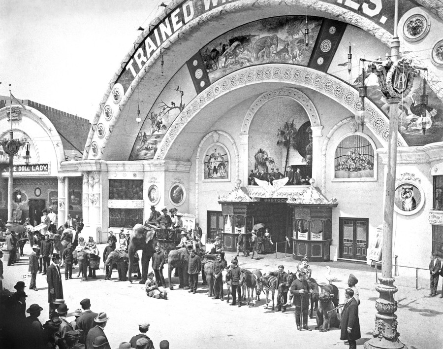 Photos of the 1893 Chicago World’s Fair - The Atlantic