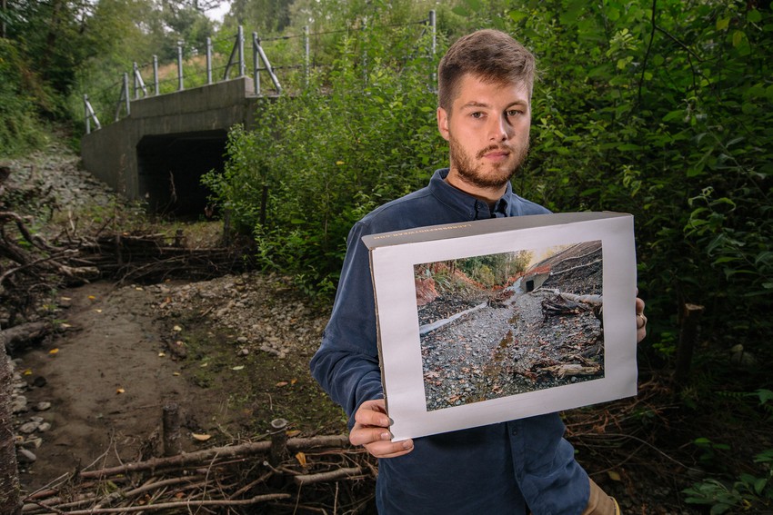 Relocating Beavers to Save Salmon in Washington State - The Atlantic