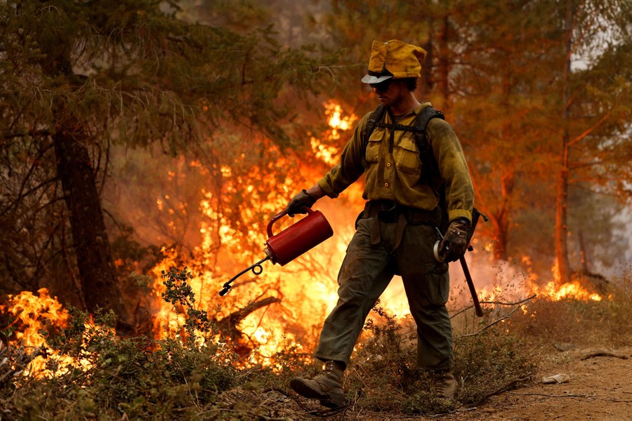 금주의 월드 보도사진: 절벽 다이빙, 황소 추격전, 강의 선상 발레 : 네이버 블로그