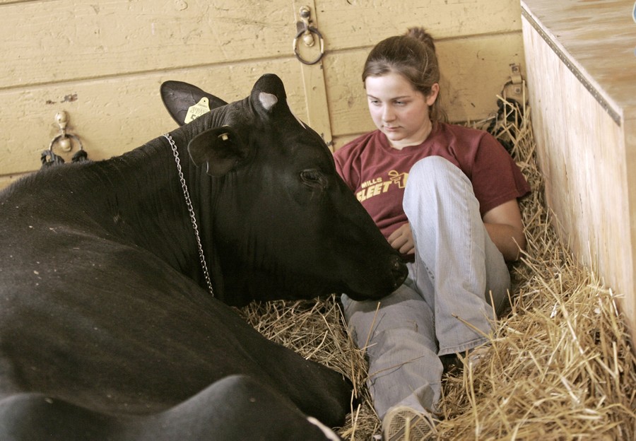 Minnesota: Images of the North Star State - The Atlantic