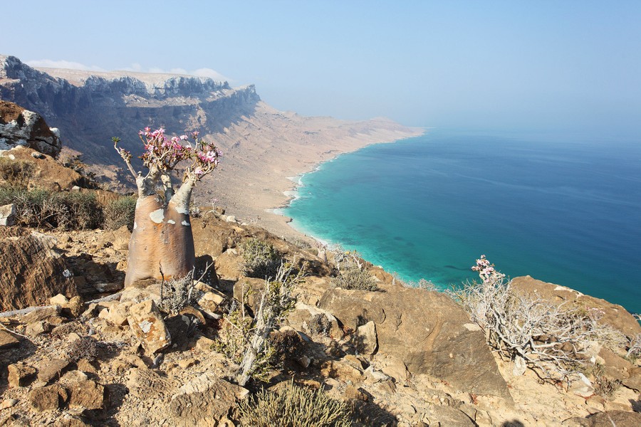 Travel Monday: A Photo Trip to Socotra - The Atlantic