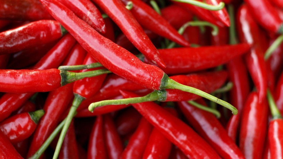 So God Made the World's Hottest Pepper - The Atlantic