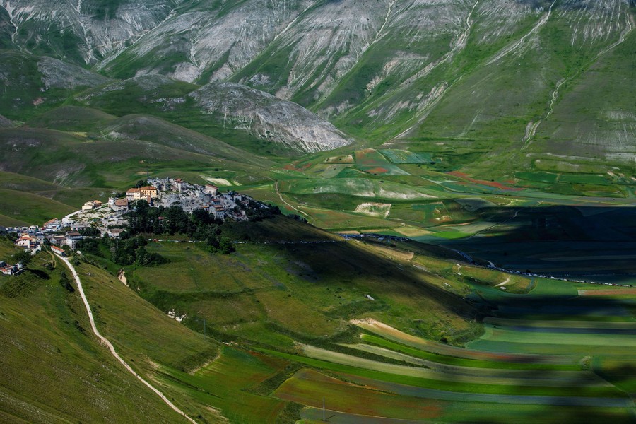 The Colorful Blooms of Castelluccio, Italy - The Atlantic