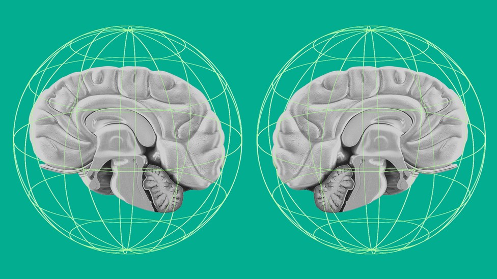 AI Is Unlocking the Human Brain’s Secrets - The Atlantic