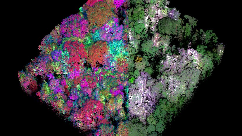 How a Scientist Mapped the Chemistry of the Entire Peruvian Amazon by ...