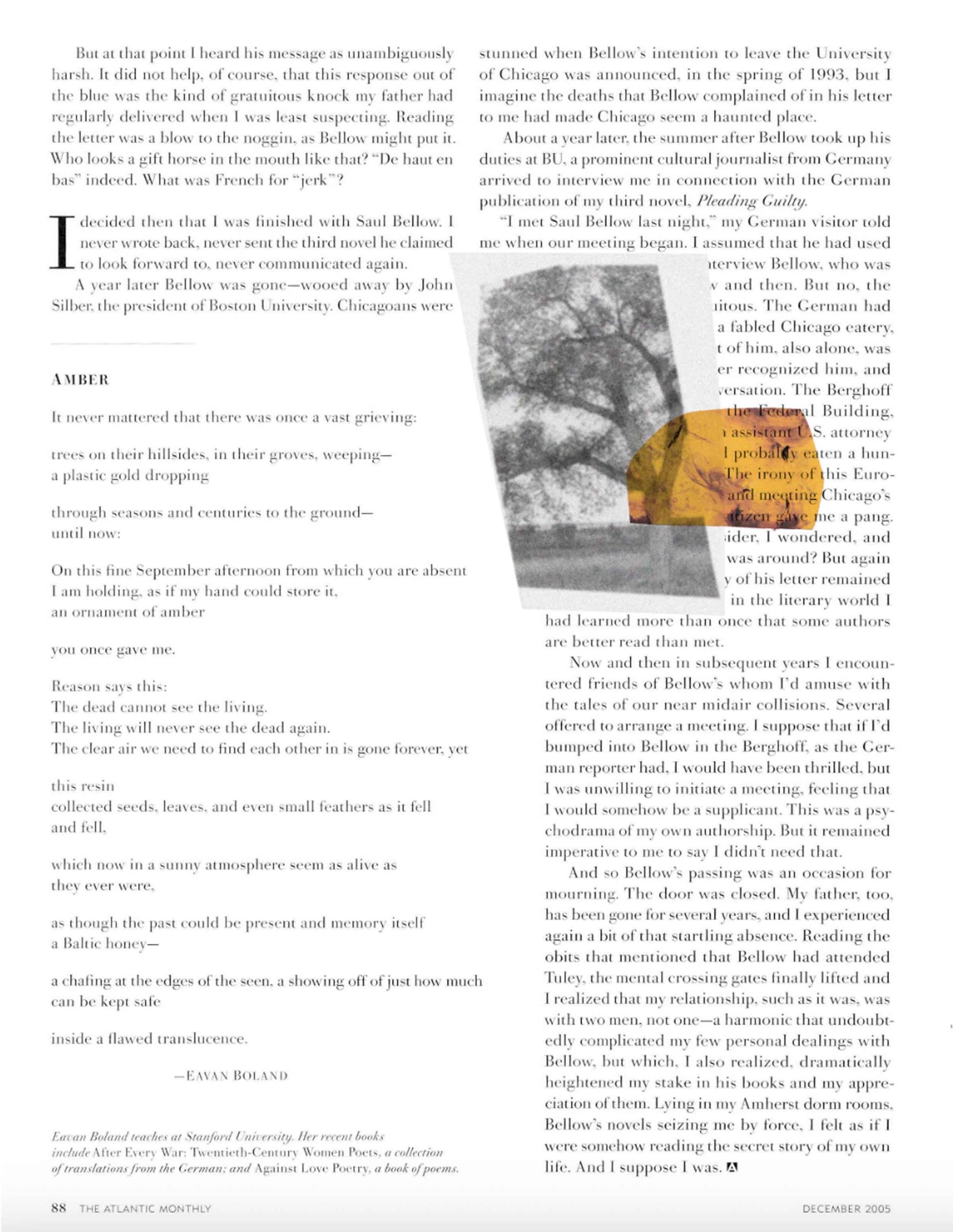 A Poem by Eavan Boland: 'Amber' - The Atlantic