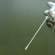 Meet the Necrobiome: The Waves of Microbes That Will Eat Your Corpse ...