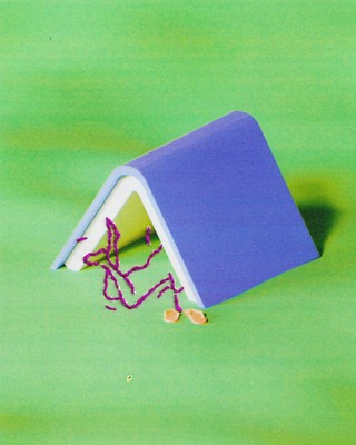 The 2026 Summer Reading Guide - The Atlantic