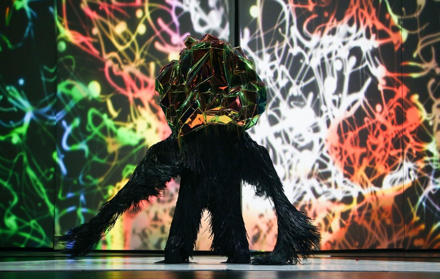 Scenes From the World of WearableArt Competition - The Atlantic