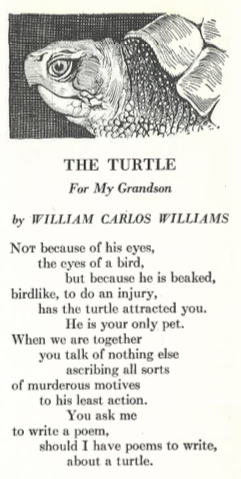 William Carlos Williams Poems: “The Turtle” - The Atlantic