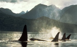 All Stories by Jacob Stern - The Atlantic