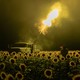 Soldiers fire a large anti-aircraft gun from the back of a truck in a sunflower field, at night, the muzzle flash illuminating the sunflowers.