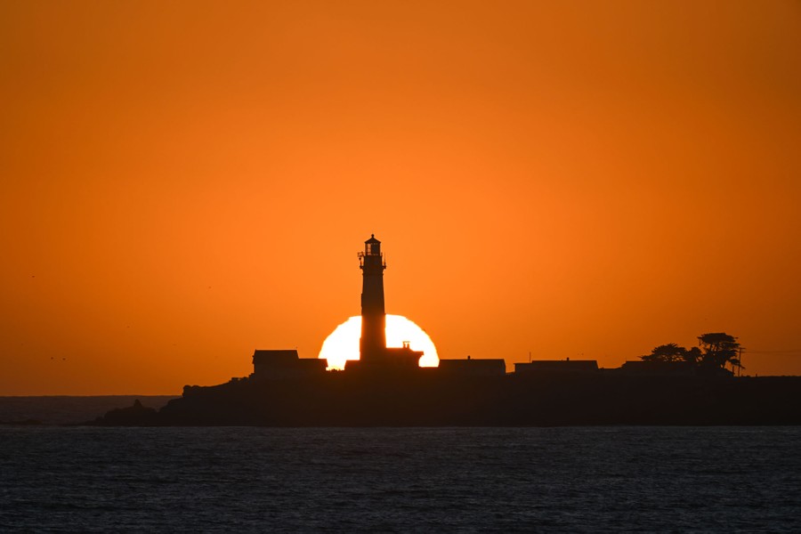 Photos of the Week: Mormon Crickets, Dragon Boats, Floating Concert ...