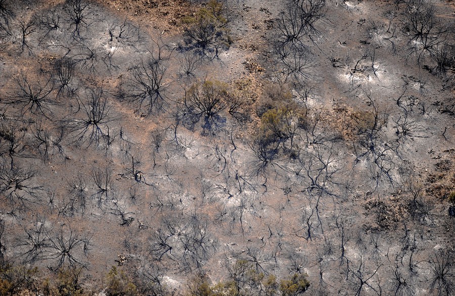 Texas Wildfires - The Atlantic