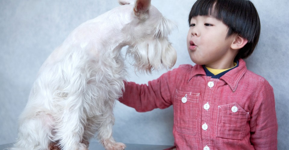 Why Do Humans Talk to Animals If They Can't Understand? - The Atlantic