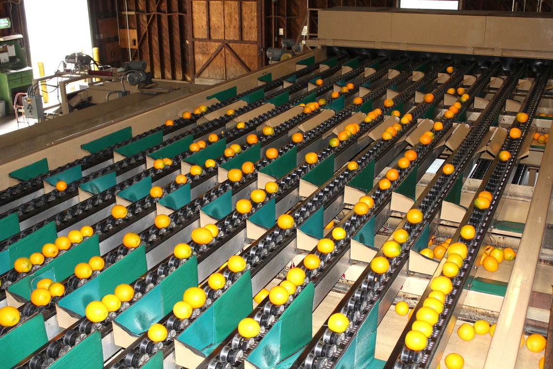 Inside the Packing House - The Atlantic