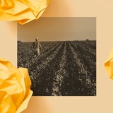 Jerusalem Demsas, The Atlantic