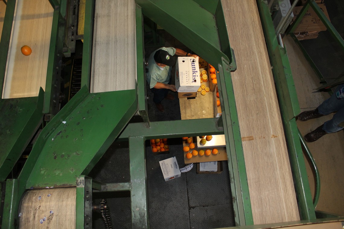 Inside the Packing House - The Atlantic