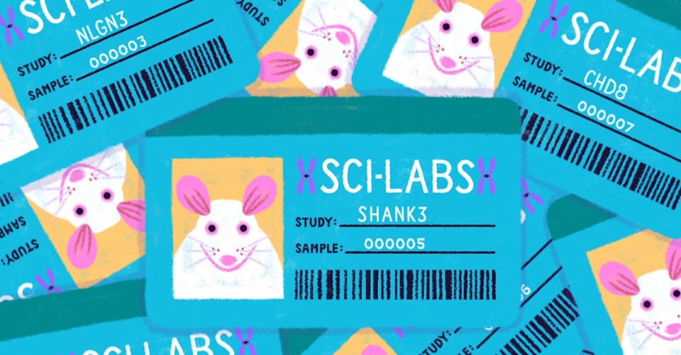 How Good Are Mouse Models for Autism? - The Atlantic