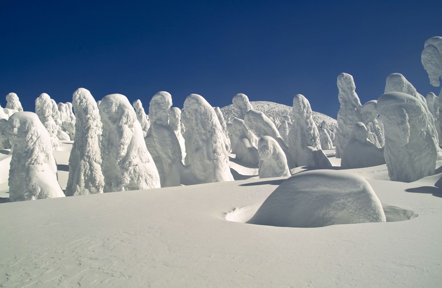 Juhyo: The Snow Monsters on Japan’s Mount Zao - The Atlantic