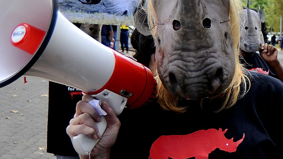 Can You Wage a War on Poaching? - The Atlantic