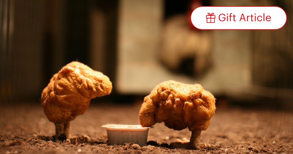 chicken mcnuggets under microscope