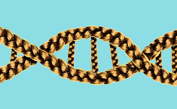 All Stories by Sarah Zhang - The Atlantic