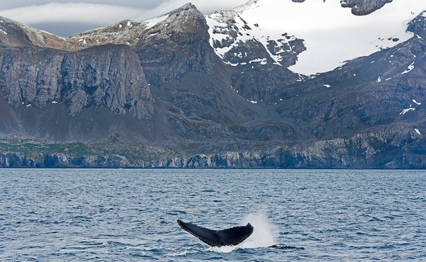 All Stories by Douglas Main - The Atlantic