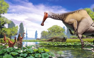 All Stories by Asher Elbein - The Atlantic