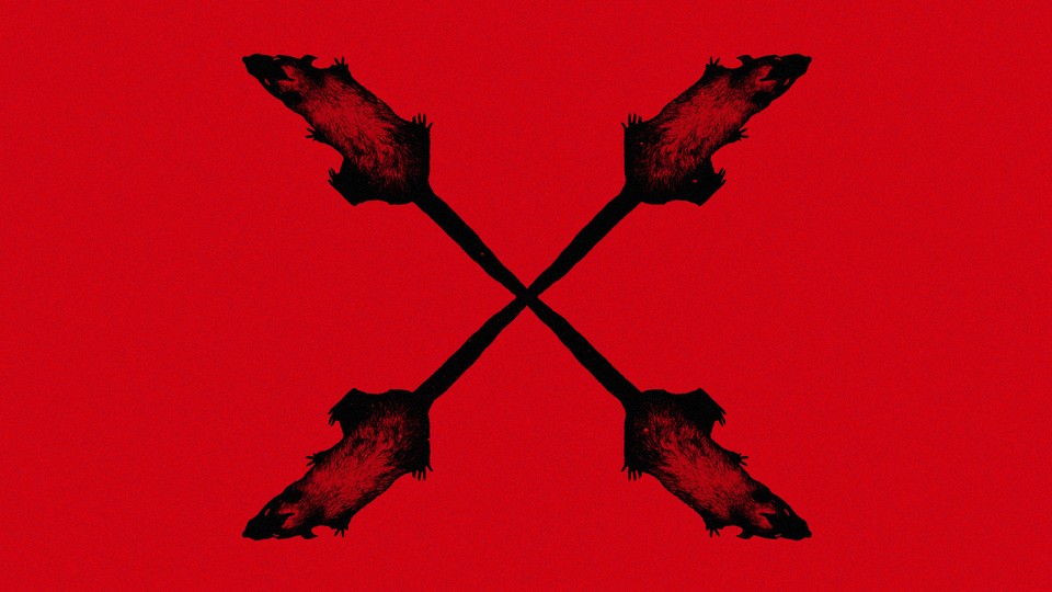 A Rat Purge Saved This Island - The Atlantic