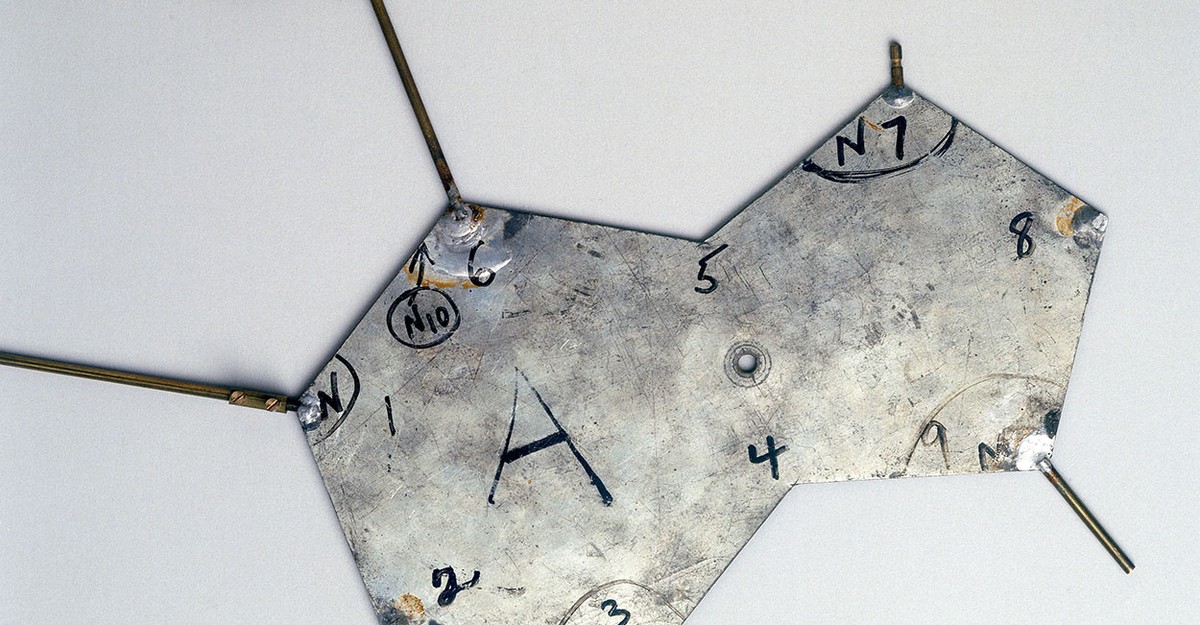 How One Woman Deciphered Her Own Genetic Mutation - The Atlantic