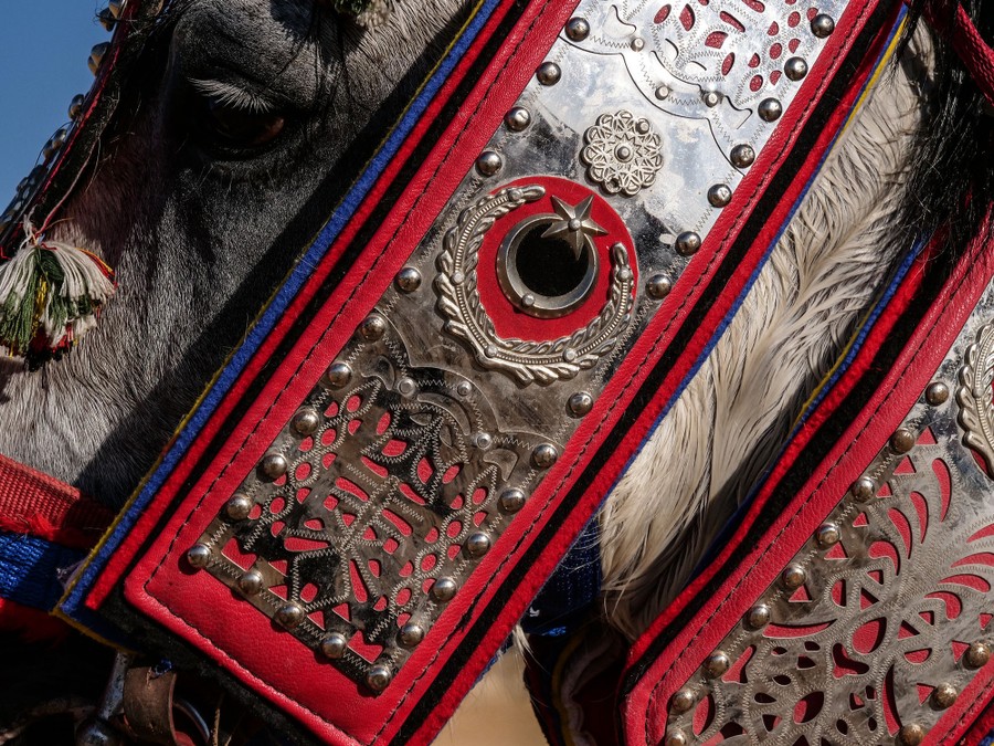 Photos of the Week: Vertical Dancers, Pagan Solstice, Panda Monitor ...