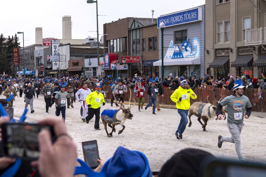 Photos of the Week: Regimental Goat, Reindeer Run, Orange Battle - The ...