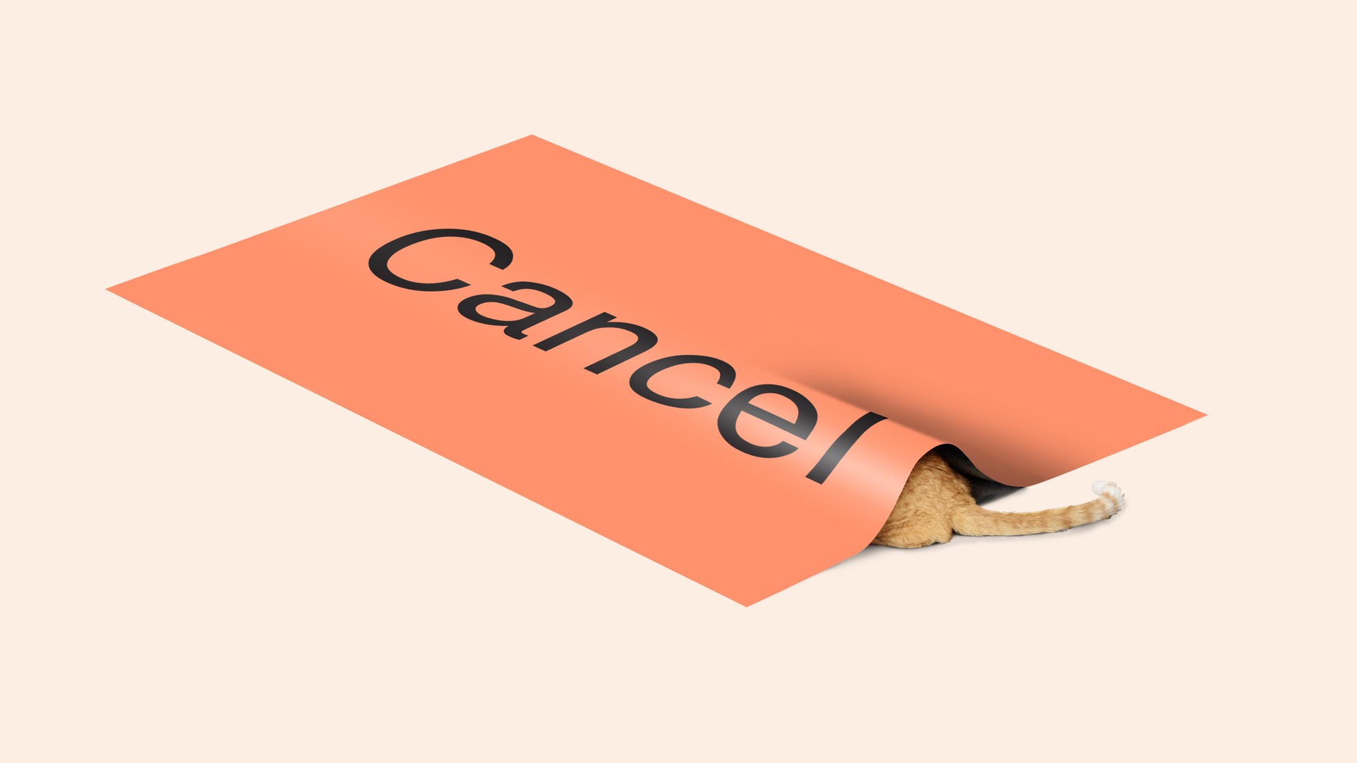 Why Wasn’t I Canceled? - The Atlantic