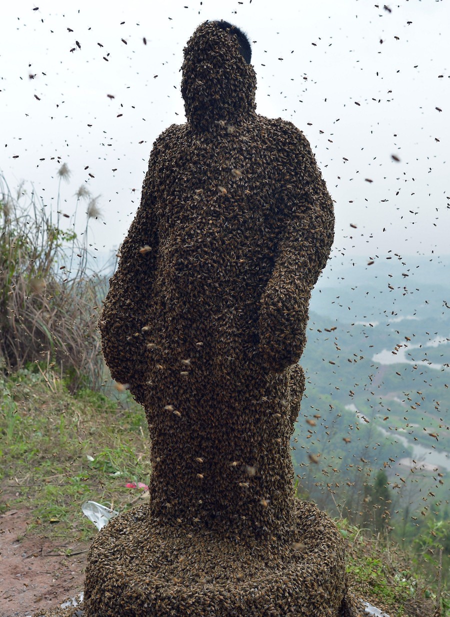 A Hundred-Pound Suit of Bees - The Atlantic