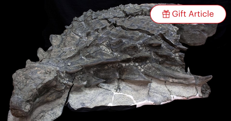 extinct animals found preserved