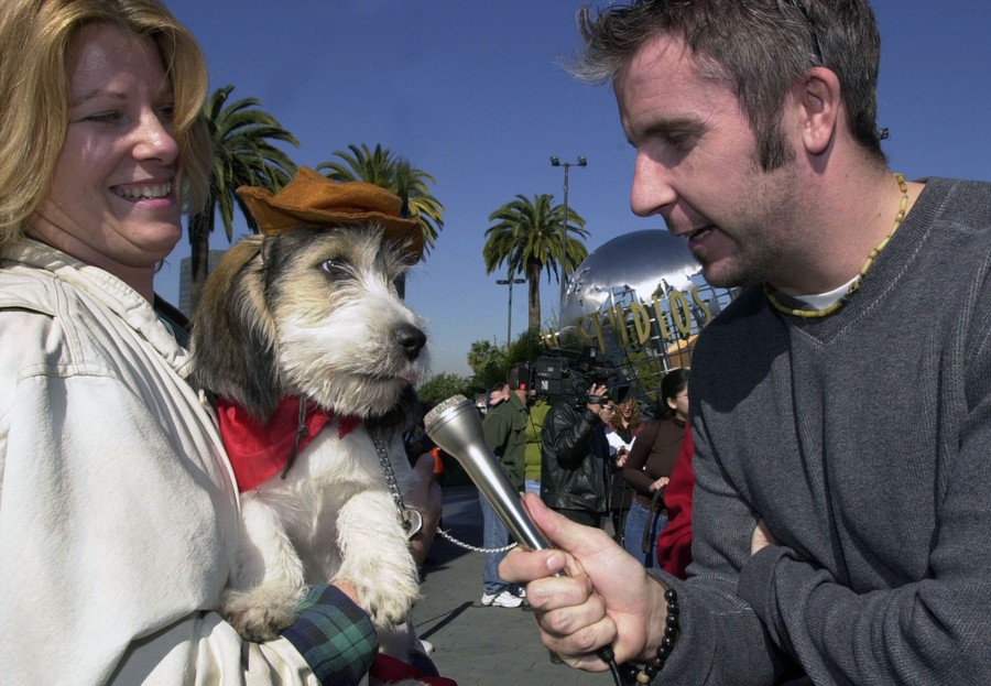 Sound Bites: Dogs on the Microphone - The Atlantic