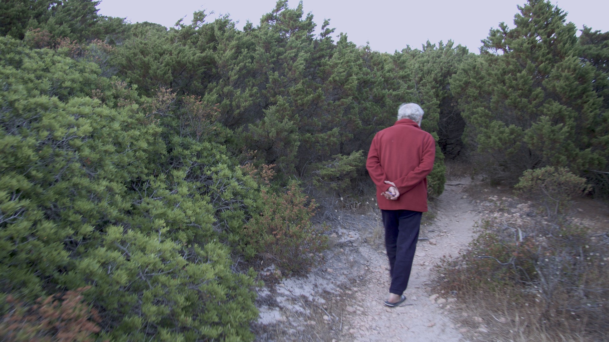 When A Paradise Loses its Caretaker - The Atlantic