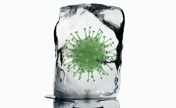 All Stories by Daniel Engber - The Atlantic