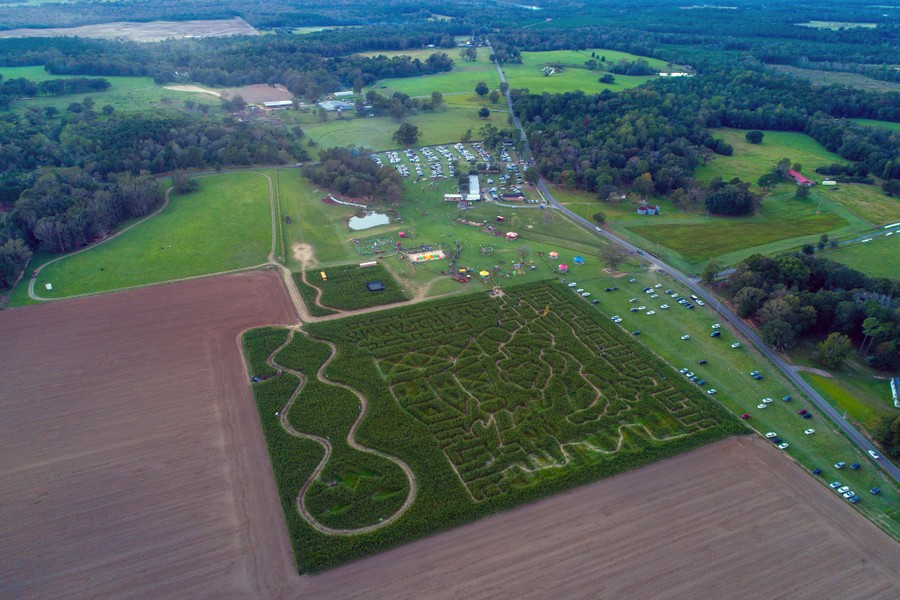 Mississippi: Images of the Magnolia State - The Atlantic