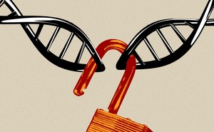 One Story to Read Today - The Atlantic