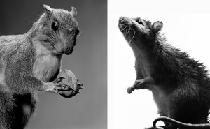 All Stories by Jacob Stern - The Atlantic