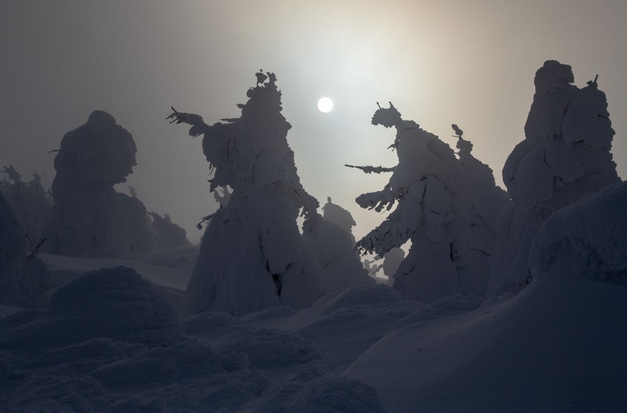 Juhyo: The Snow Monsters on Japan’s Mount Zao - The Atlantic