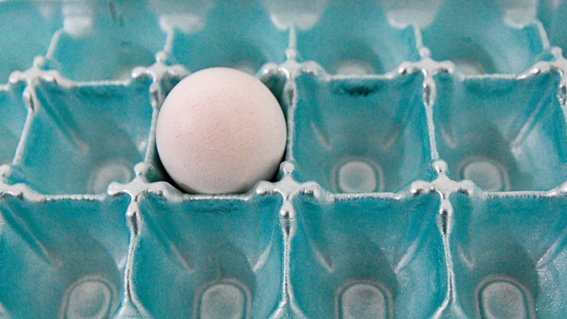 What Happens When Bird Flu Gets Worse? - The Atlantic