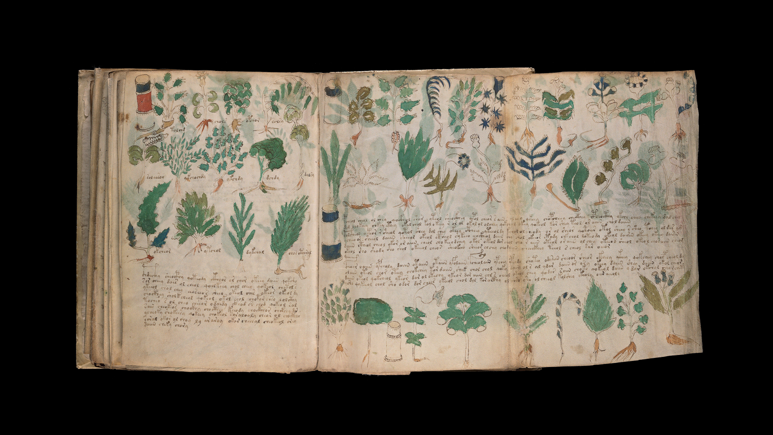 Will the Mystery of the Voynich Manuscript Ever Be Solved? - The Atlantic