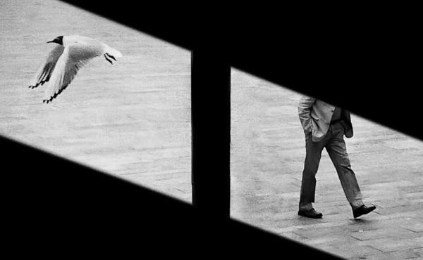 All Stories by Kieran Setiya - The Atlantic