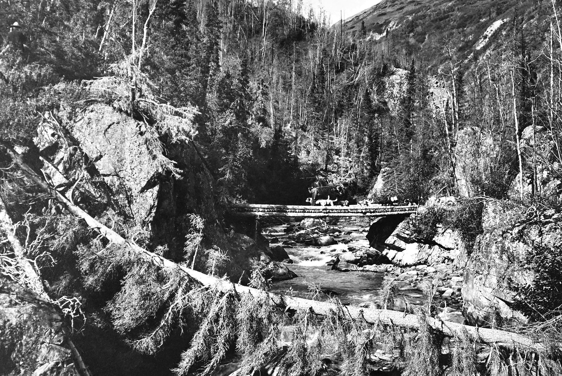 A Trip Into Alaska’s Copper River Valley in 1902 - The Atlantic