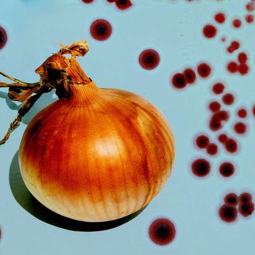 America Has an Onion Problem - The Atlantic