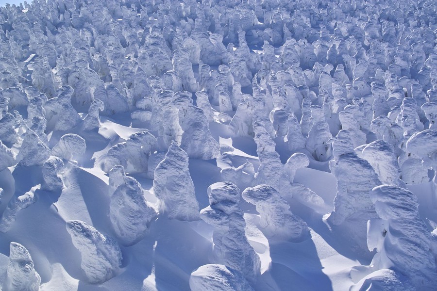 Juhyo: The Snow Monsters on Japan’s Mount Zao - The Atlantic