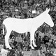 A donkey cutout in a photo of a No Kings protest